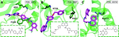 Cationπ Interactions In Proteinligand Binding Theory And Data Mining Reveal Different Roles
