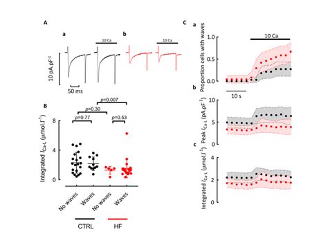 The Effects Of External Ca 2 Concentration On The L Type Ca 2 Current