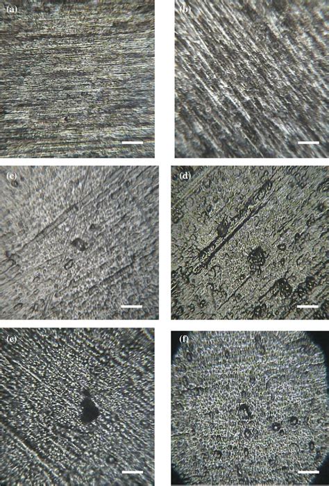 Metallographic Micrographs Of The Surface Appearance Of Some Specimens Download Scientific