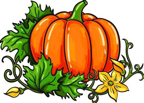 Тыква картинка для детей на прозрачном фоне раскраска