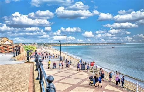 Delightful Dolphins Filmed Making A Splash In The Bay Of Bridlington