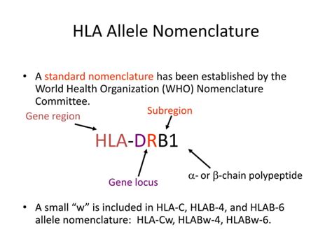 Hla Typing Ppt