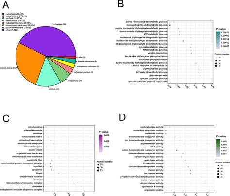 Comprehensive Analysis Of Lysine Lactylation And Its Potential