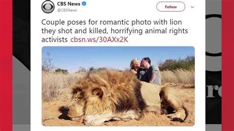 Alberta Couple Kills Lion Kisses Next To Dead Corpse In Photo Alberta Couple Kills Lion Kisses Next To Dead Corpse In Photo