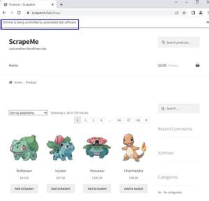 Python 和 Selenium 中的无头浏览器 姚伟斌