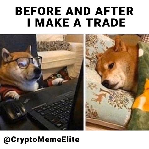 Being A Crypto Trader Can Be Rough 🐶 Rcryptomemes