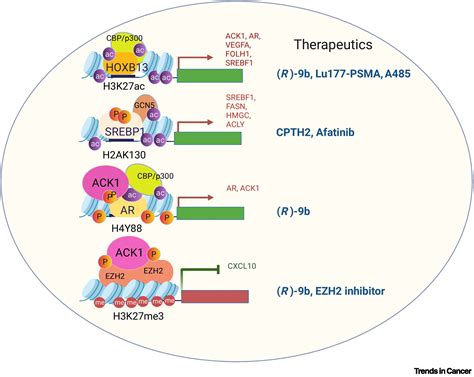 Epigenetic Underpinnings Of Tumor Immune Dynamics In Prostate Cancer