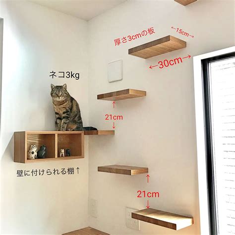壁天井ねこと暮らす。猫のいる暮らしねこのいる日常キャットタワーなどのインテリア実例 2019 02 01 202258