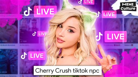 Cherry Crush Tiktok Npc Streaming Youtube