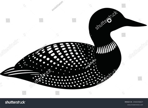 Common Loon On White Background Vector Stock Vector Royalty Free
