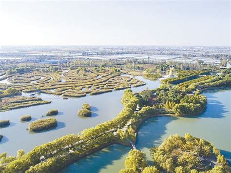 江苏盐城生态修复网格管护 还原湖荡湿地风情 南通网 中国南通主流新闻资讯门户