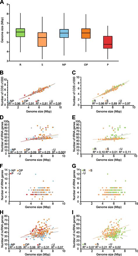 Analysis Of Genome Features A The Genome Size Distributions Were