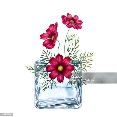 빨간색과 보라색 코스모스 꽃 꽃다발이 있는 투명한 빈티지 유리 꽃병 증류주 향수 오일 액체 아로마 테라피 음료 알코올 연금술