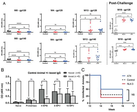 Impact Of Recombinant Vsv Hiv Prime Dna Boost Vaccine Candidates On Immunogenicity And Viremia