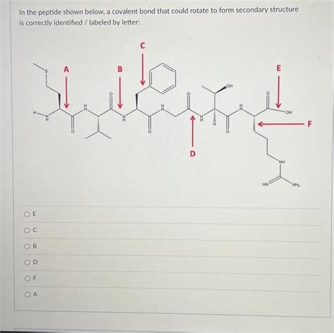 Answered In The Peptide Shown Below A Covalent Bartleby