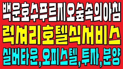 백운호수 푸르지오 숲속의아침 호텔식 하이엔드 실버타운 의왕 백운호수 위 숲속 리조트 같은 집 Youtube