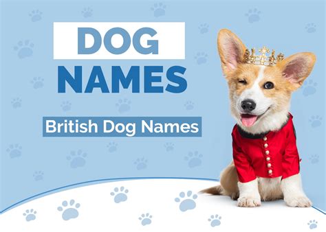 100 British Dog Names Ideas For Regal And Charming Dogs Hepper Pet
