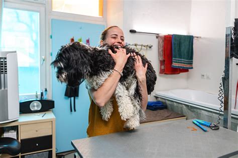 젊은 여성 백인 미용사는 미용실에서 중간 흰색과 검은색 개를 들고 있다 20 29세에 대한 스톡 사진 및 기타 이미지 20 29세 25 29세 개 Istock