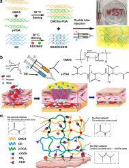 Carbohydrate Polymers X Mol