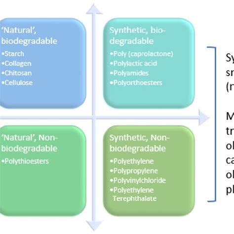 Diagram To Illustrate Polymers That Are Directly Derived From Natural