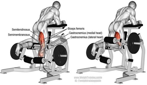 Kneeling Leg Curl Exercise Instructions And Video Weight Training Guide Leg Workout Lower