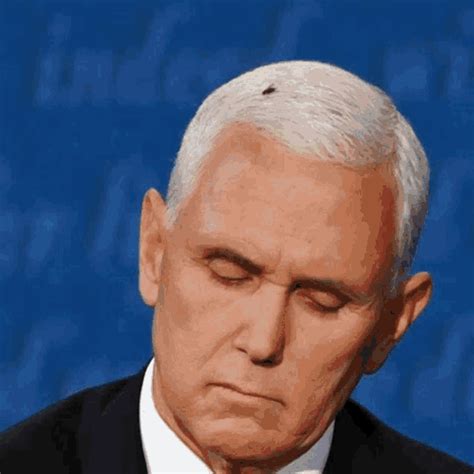 Pence Fly  Pence Fly Debate Discover And Share S