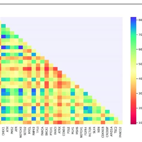 Heat Map Showing Potentially Correlated Genes Harboring Mutations