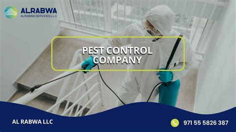 Pest Control Company Professional Pest Solutions