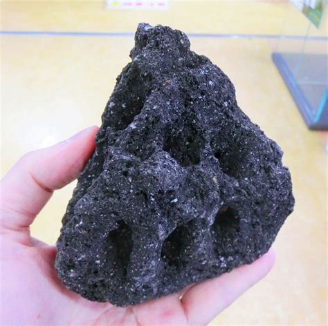 自然物と人工物の中間的素材！？ 名古屋のペットショップ【リミックス・ペポニ】