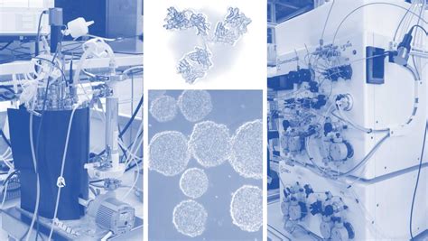 Production Of Recombinant Proteins The Morbidelli Group Eth Zurich