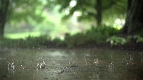Relaxing Rain Drops Sounds Youtube