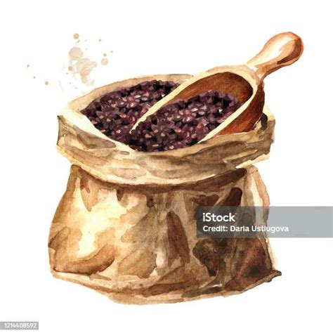종이 자루에 검은 퀴노아 씨앗 흰색 배경에 고립 된 손으로 그린 수채화 그림 건강한 식생활에 대한 스톡 벡터 아트 및 기타 이미지 건강한 식생활 검은색 곡초류