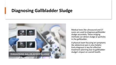 Ppt Understanding Gallbladder Sludge Symptoms And Treatments