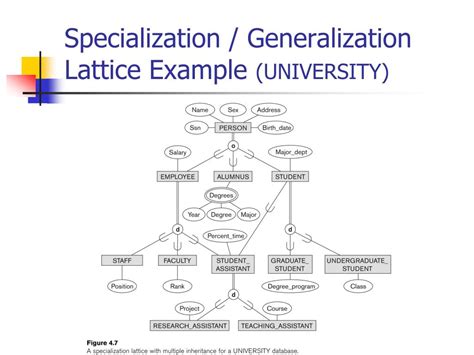 Ppt Chapter 4 The Enhanced Entity Relationship Eer Model Powerpoint
