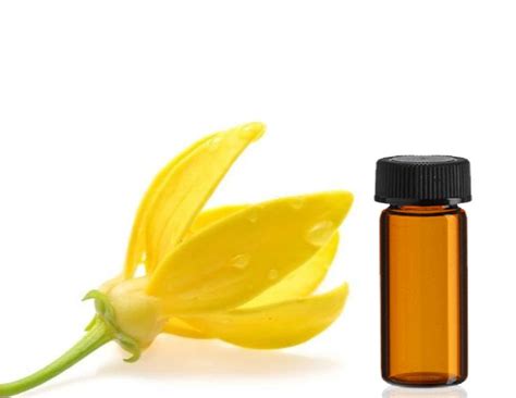 Ylang Ylang Oil At Best Price In India
