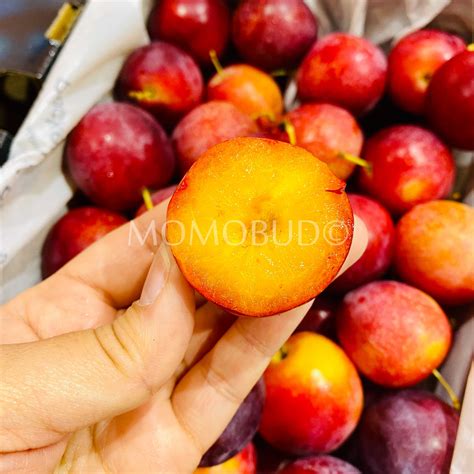 Sweet Pixie® Cherry Plum — Momobud