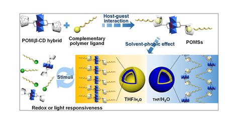 Self Assembly Of Polyoxometalate Based Nanoparticle Surfactants In