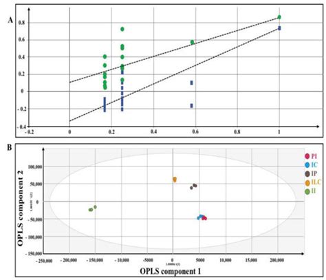 a permutation results of partial least square discriminant analysis
