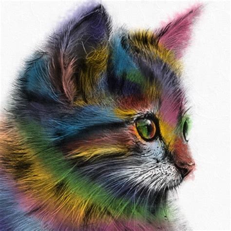 Котик радужный рисунок (42 фото) » Рисунки для срисовки и не только