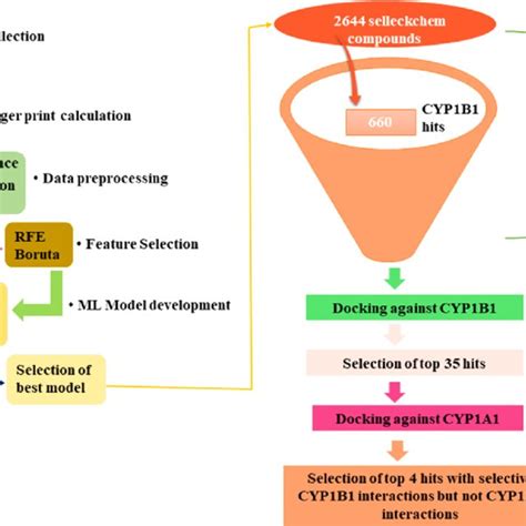 Schematic Representation Of The Virtual Screening Pipeline Download