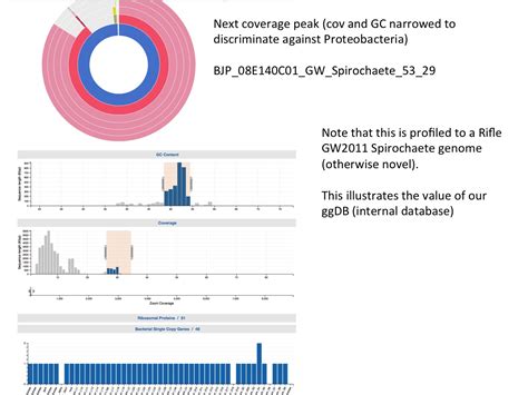 ggkbase binning slide38 ggkbase knowledge base