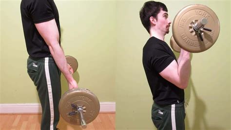 Standing Barbell Bicep Curl How To Guide And Form Tips