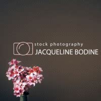 Jacqueline Bodine Shutterstock Linkedin