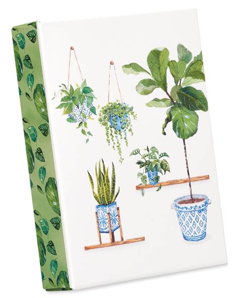 Blank Inside Indoor Garden Boxed Blank Note Cards With Envelopes 14