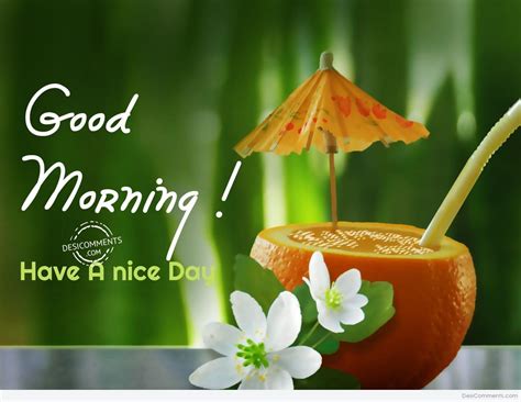 Have A Nice Day Good Morning Desi Comments