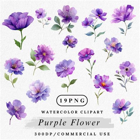 Watercolor Purple Flower Clipart Floral Png Bundle Digital Download