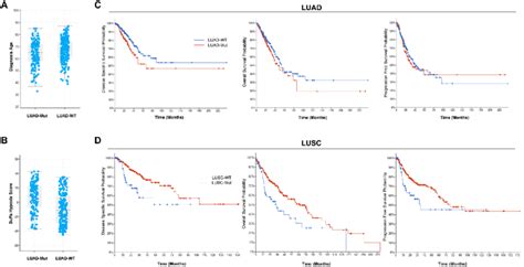 P53 Mutation In Luad And Lusc Is Associated With Multiple Exacerbated