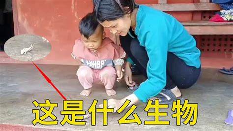一大早发现神秘生物，像老鼠又不像，你们知道是啥嘛？【尼泊尔高哥幸福的一家】 Youtube