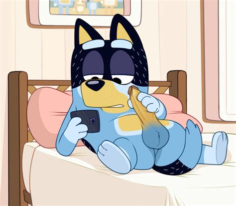 Rule 34 2024 Anthro Australian Cattle Dog Balls Bandit Heeler Bed