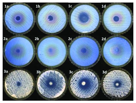 Antimicrobial Activity Of 1a Control Against S Aureus 1b Sample